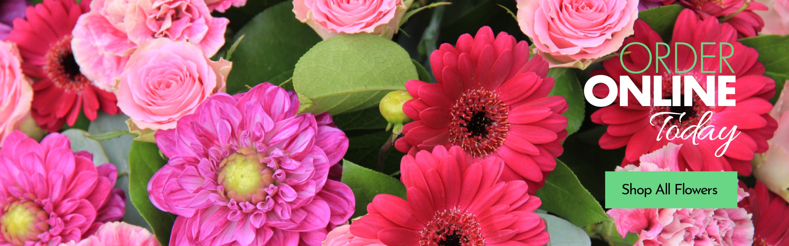 Molly Blooms | Florist in Warrington | Same Day Flower Delivery
